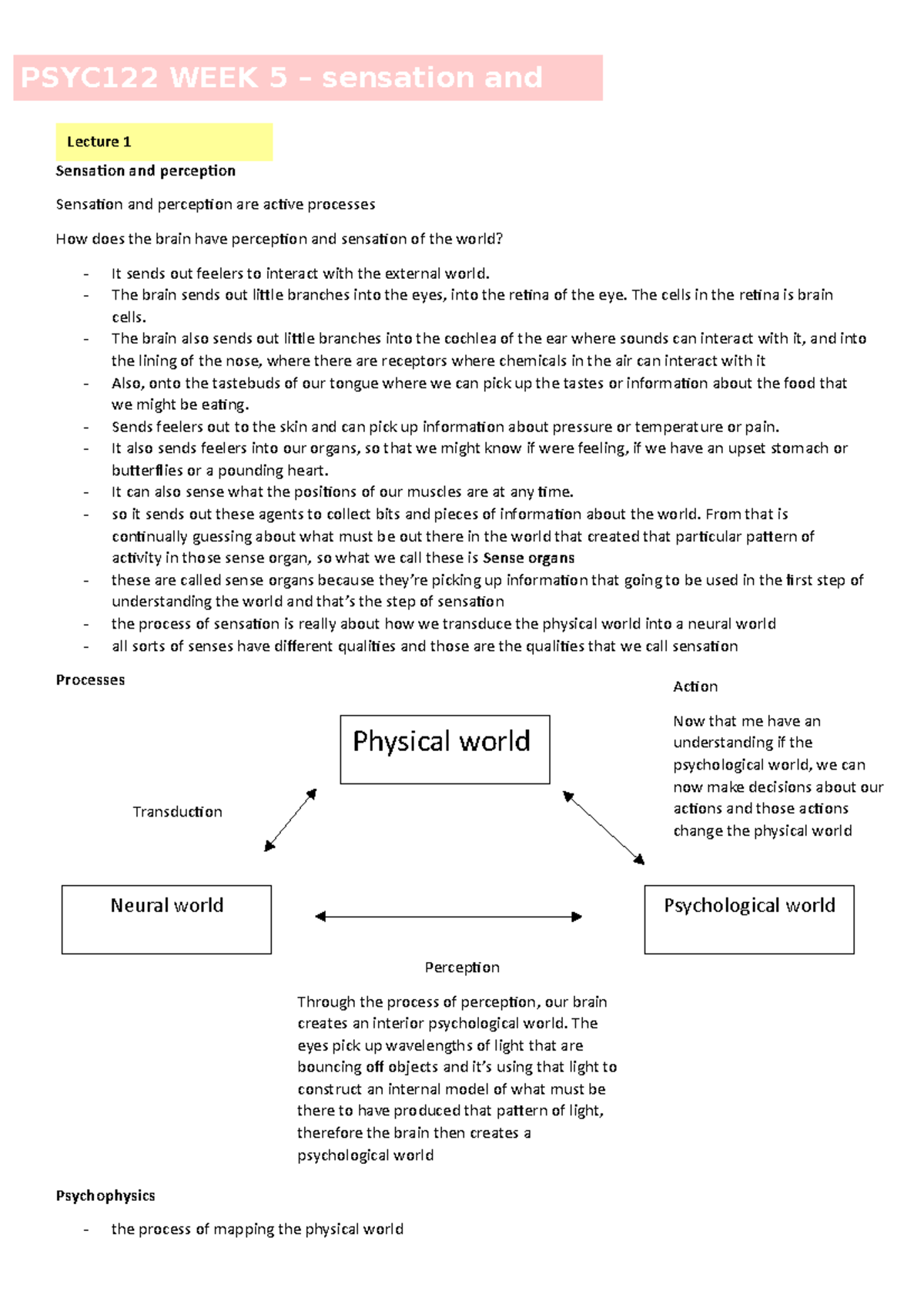 Week 5 - Week 5 lecture notes - Sensation and perception Sensation and ...