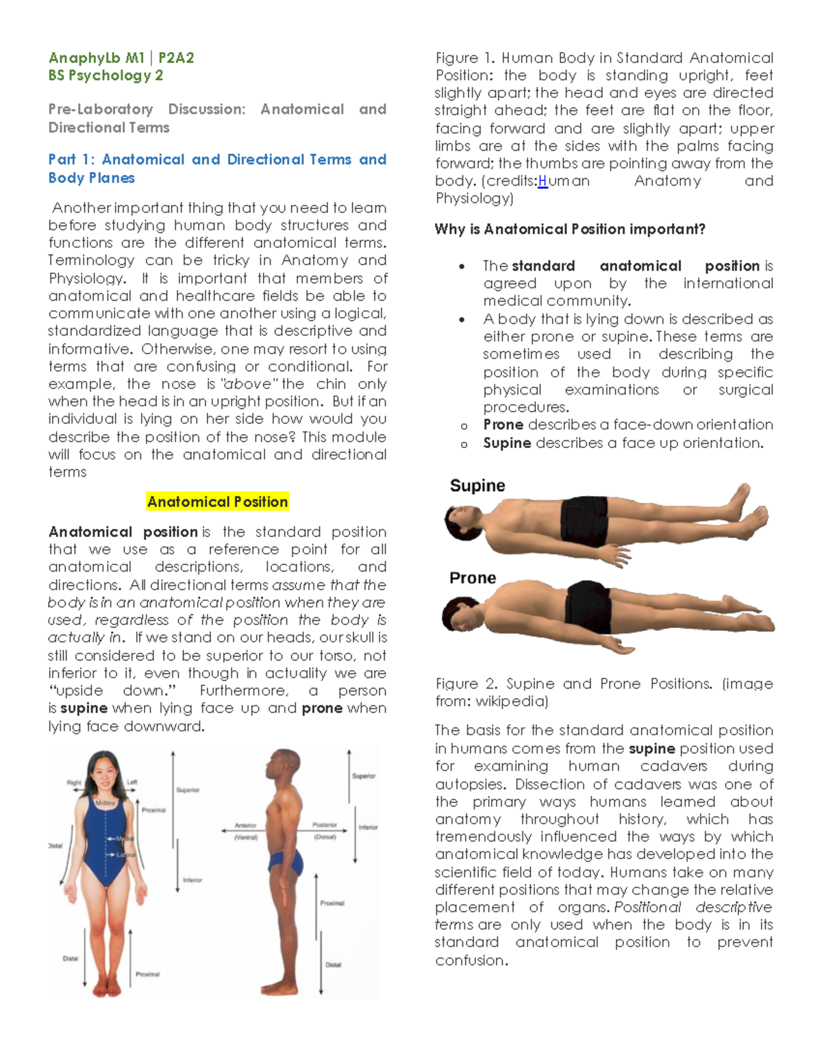 Anaphy Lb M1 - AnaphyLb M1 ⎸P2A BS Psychology 2 Pre-Laboratory ...