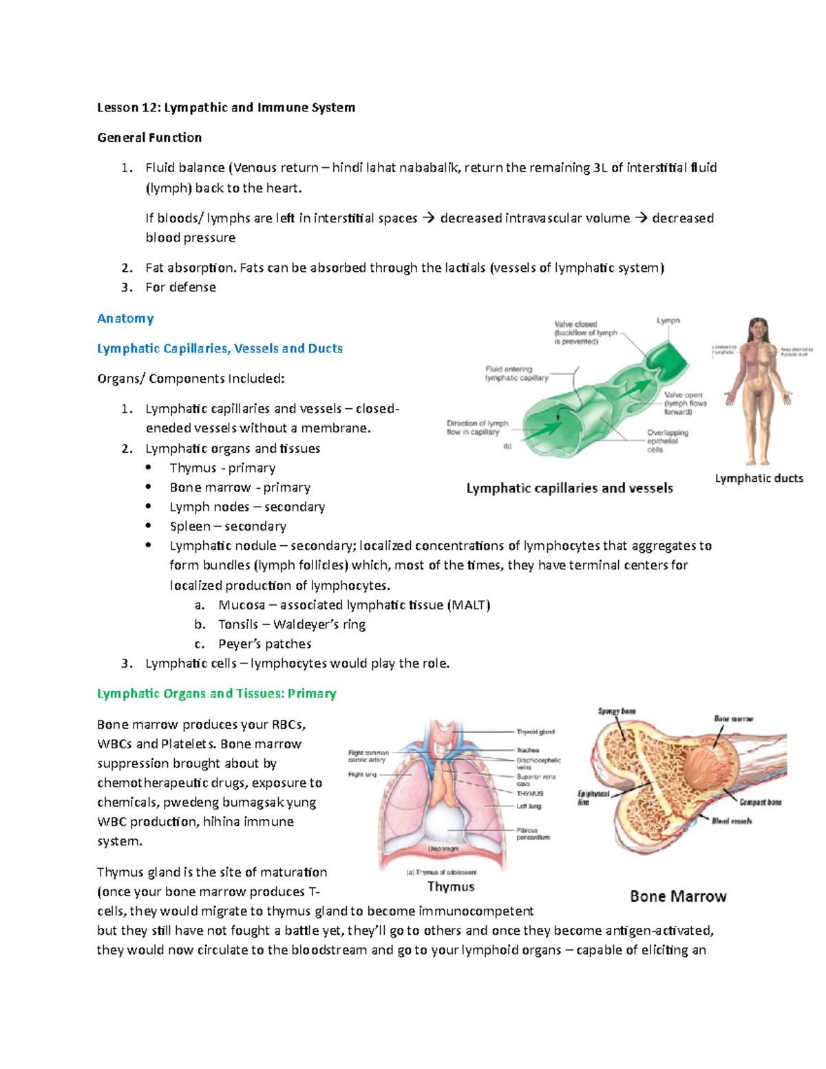 Lec 12 Lymphatic and Immune System - Lesson 12: Lympathic and Immune ...