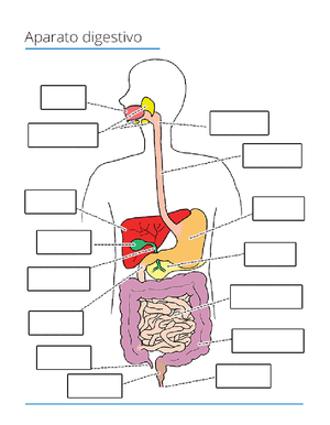 Hazel Mejia Act - Alumna: Hazel Nicole Mejia Guillen Cuenta: 1200642 ...