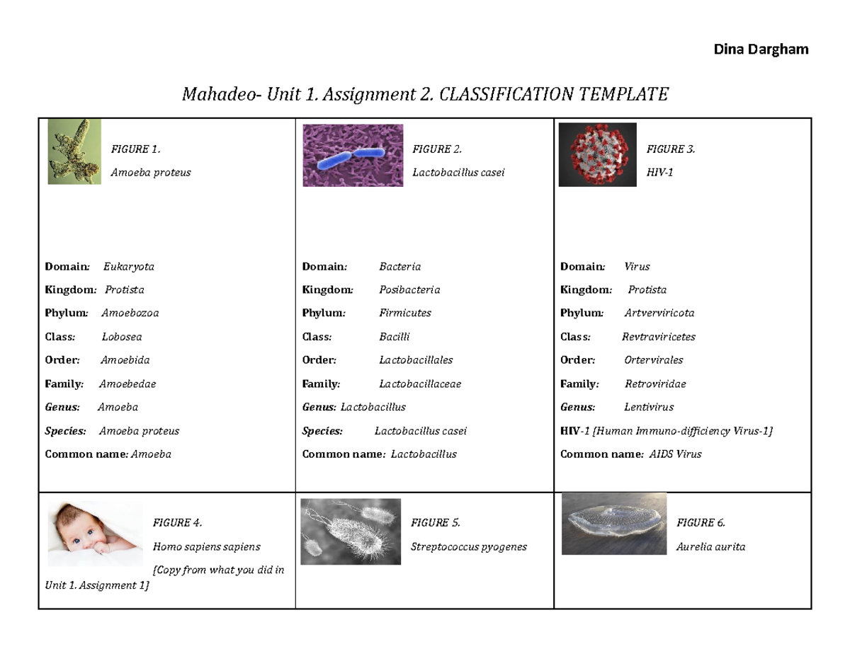 Discussion 3-1.2 Classification Template (2) - Dina Dargham Mahadeo ...