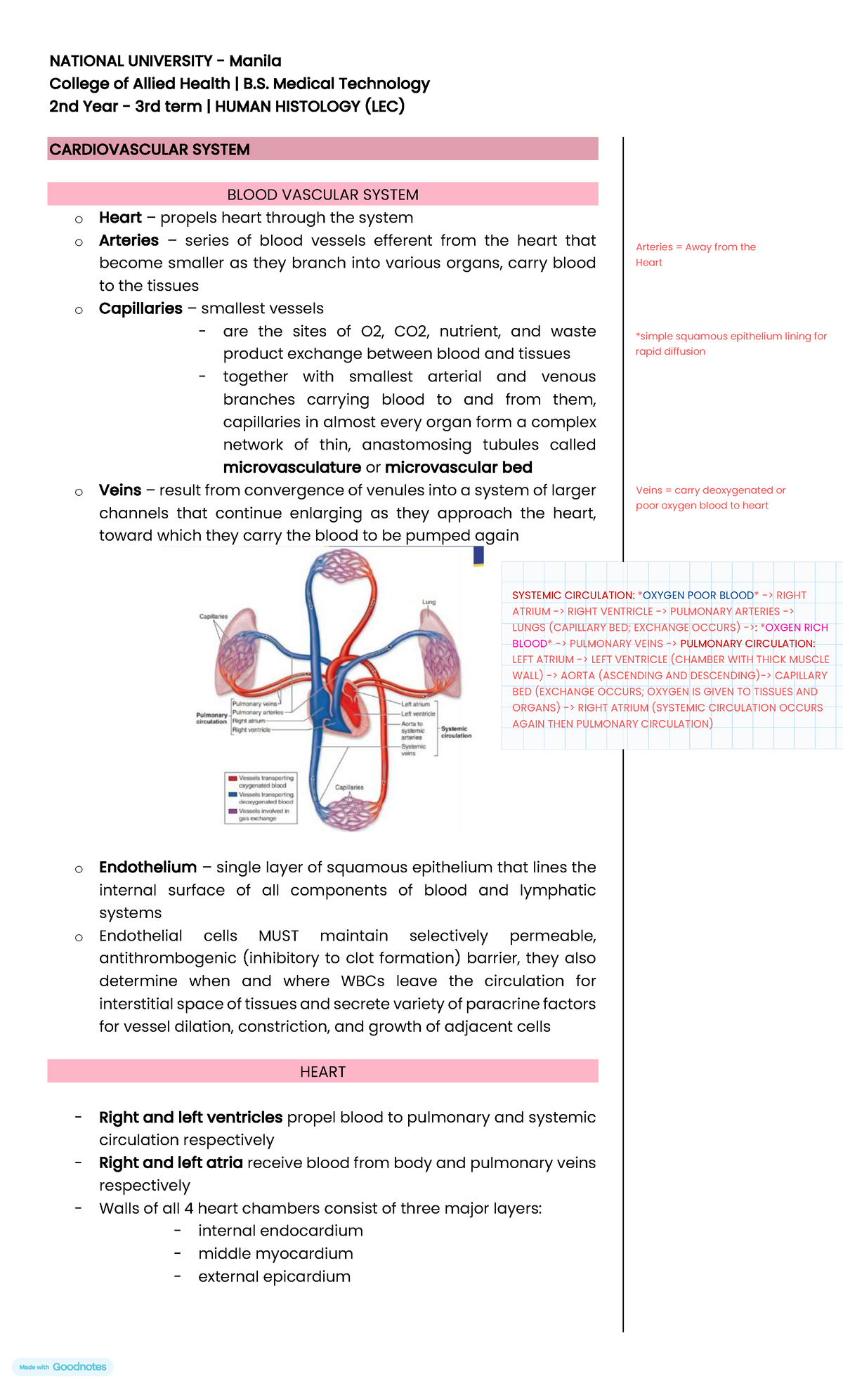 Cardiovascular- System - College of Allied Health | B. Medical ...