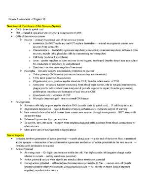 Cranial Nerves Assessment Cheat Sheet Nurseslabs - KINS 242 - 8/2/23, 3 ...