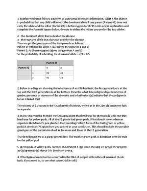 Week 6 PDF Experiment Answer Sheet - WEEK 6 EXPERIMENT ANSWER SHEET ...
