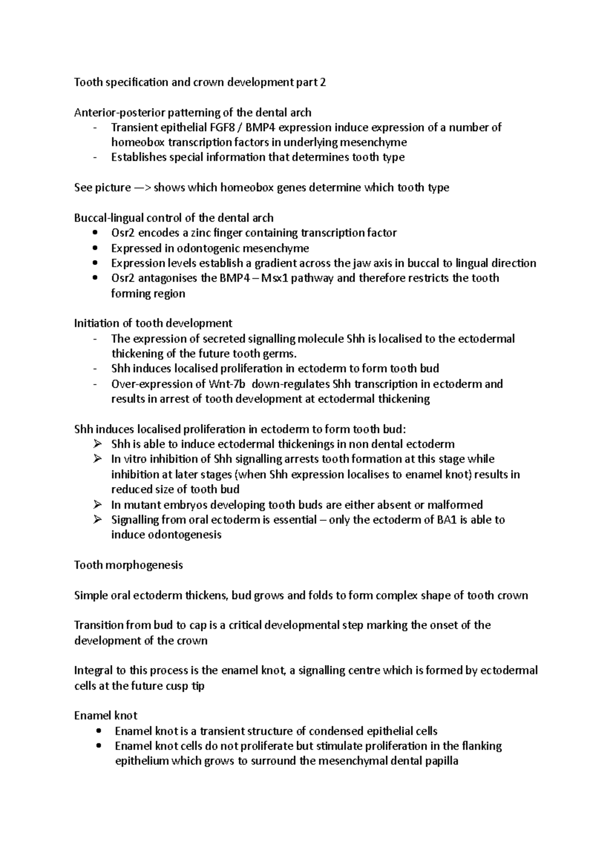 Tooth specification and crown development 2 - Shh induces localised ...