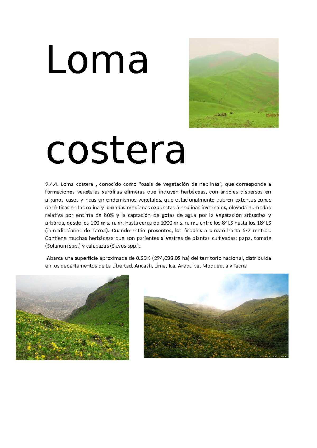 Loma costera - Loma costera 9.4. Loma costera , conocido como “oasis de ...