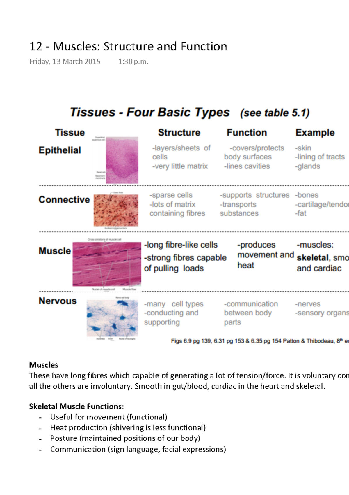 12 - Muscles Structure and Function - Warning: TT: undefined function ...