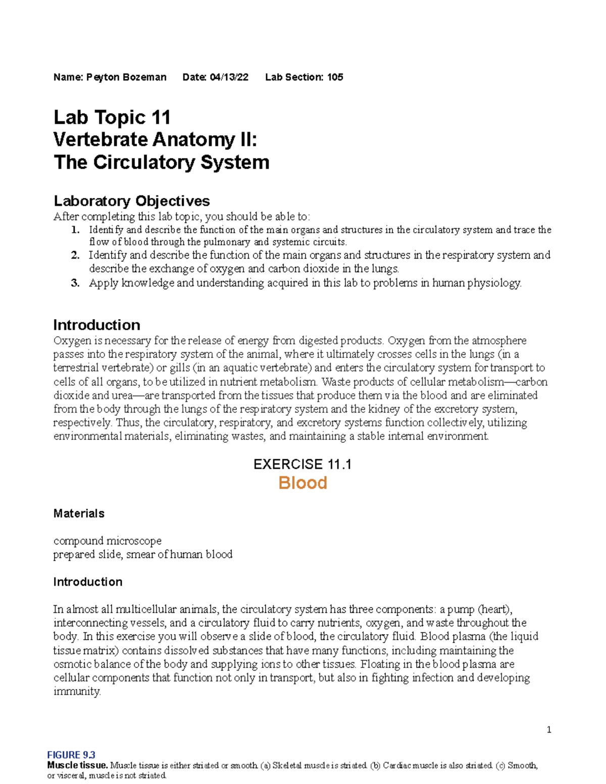 Experiment 11 Lab Report - Name: Peyton Bozeman Date: 04/13/22 Lab ...
