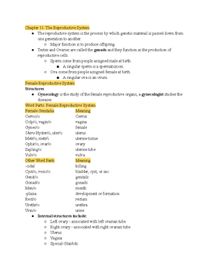 Medical Terminology Chapter 6 Notes - Chapter 6: Musculoskeletal system ...