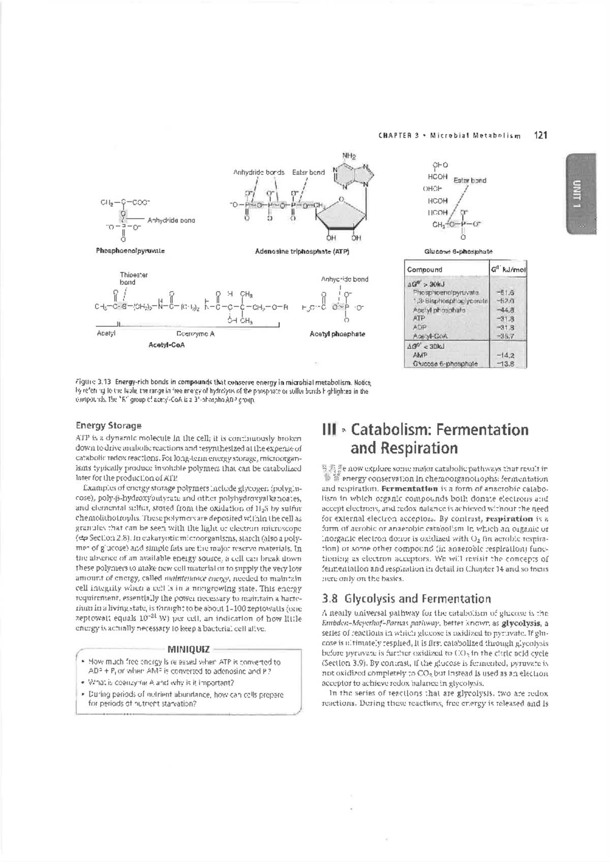 Microbial metabolism comprehensive notes from Brocks - bacteriology ...