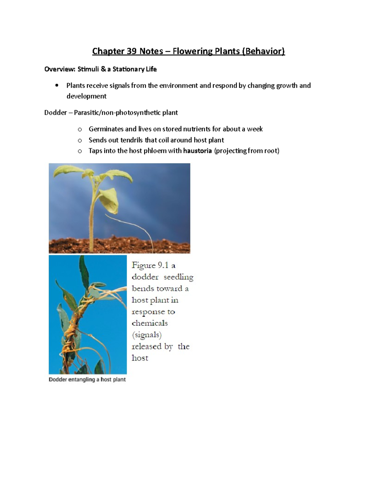 Chapter 39 Notes - Chapter 39 Notes – Flowering Plants (Behavior ...