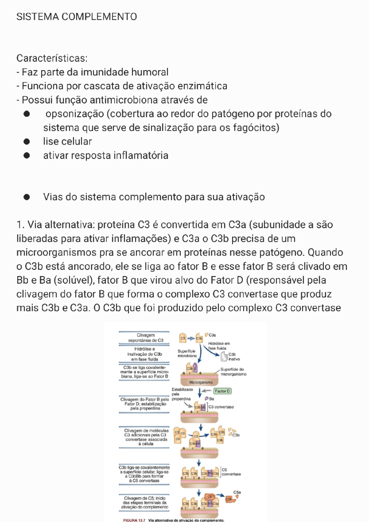 Resumo sistema complemento 220908 114317 220908 114356 - Microbiologia ...