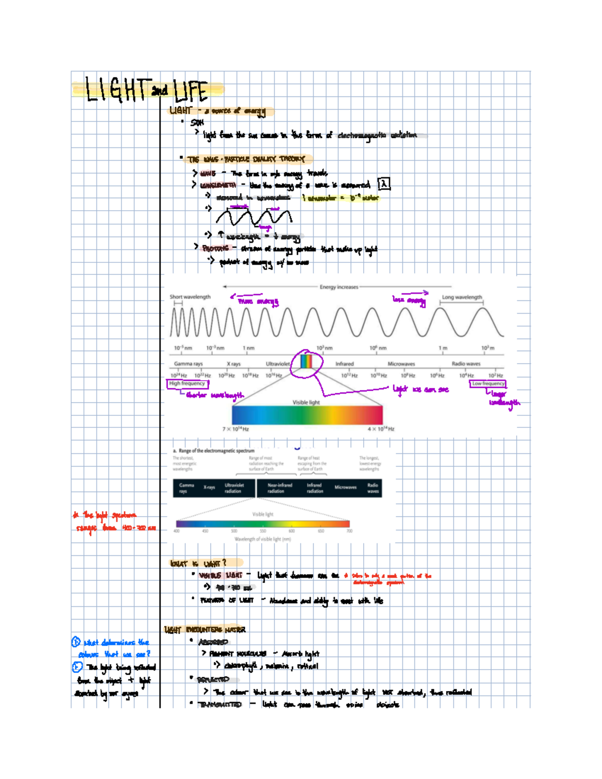 Week 1 notes (BIOL1000) - and LIGHT asourceofenergy sun - Studocu