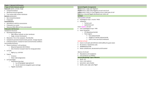 WEEK-3 - Medically- Significant- Algae-template-1 - Bio1227 ...