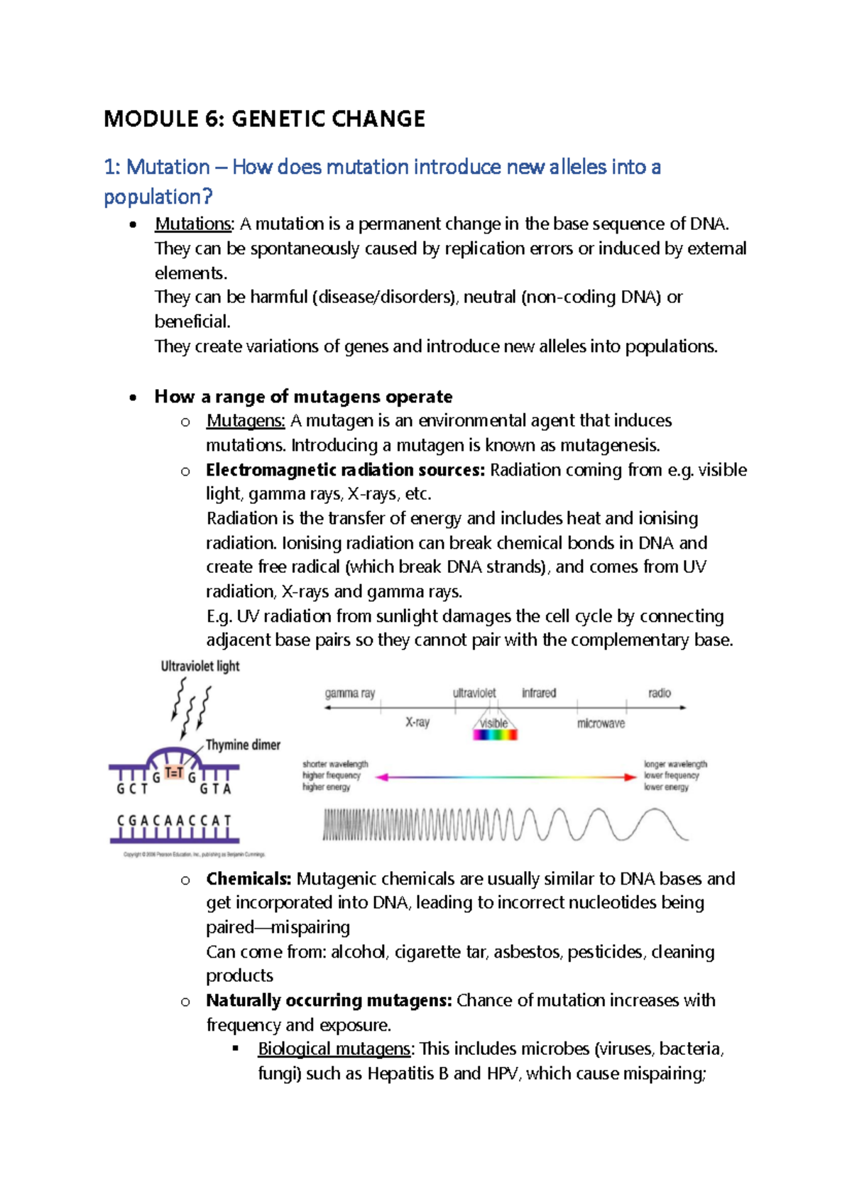 Module 6 bio - best notes - MODULE 6: GENETIC CHANGE 1: Mutation – How ...