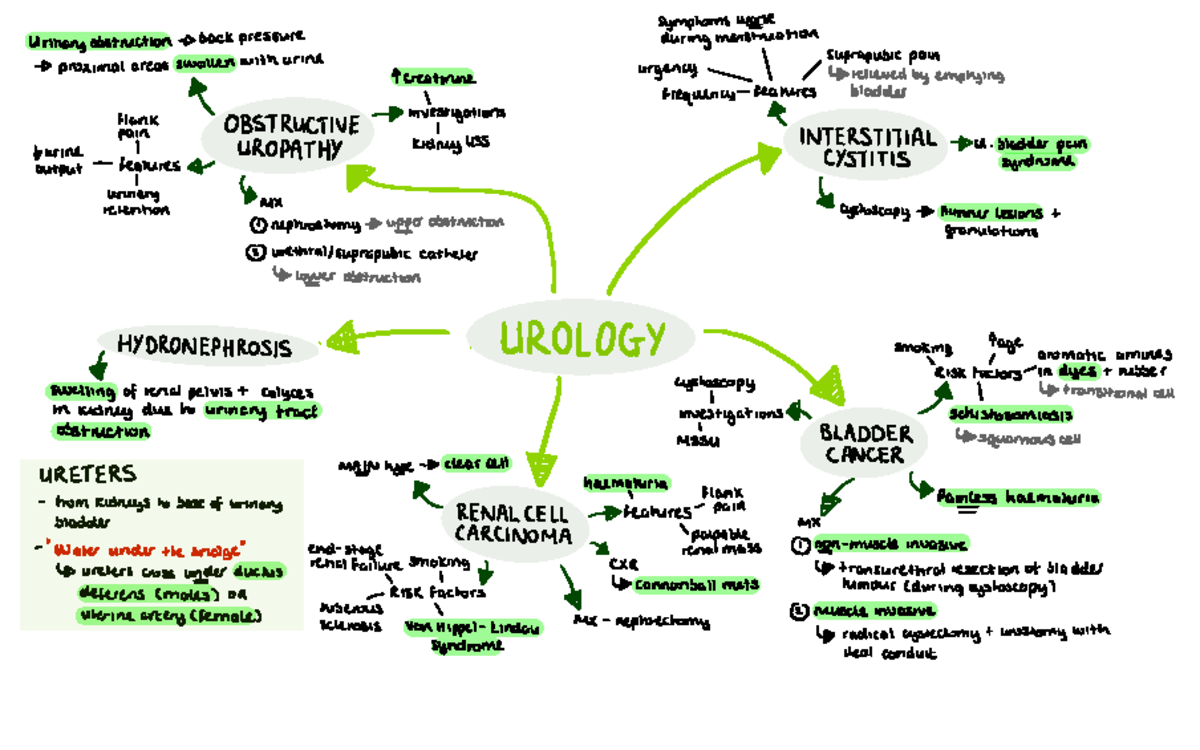Urology spider diagrams - Urinary obstruction -> back pressure ...