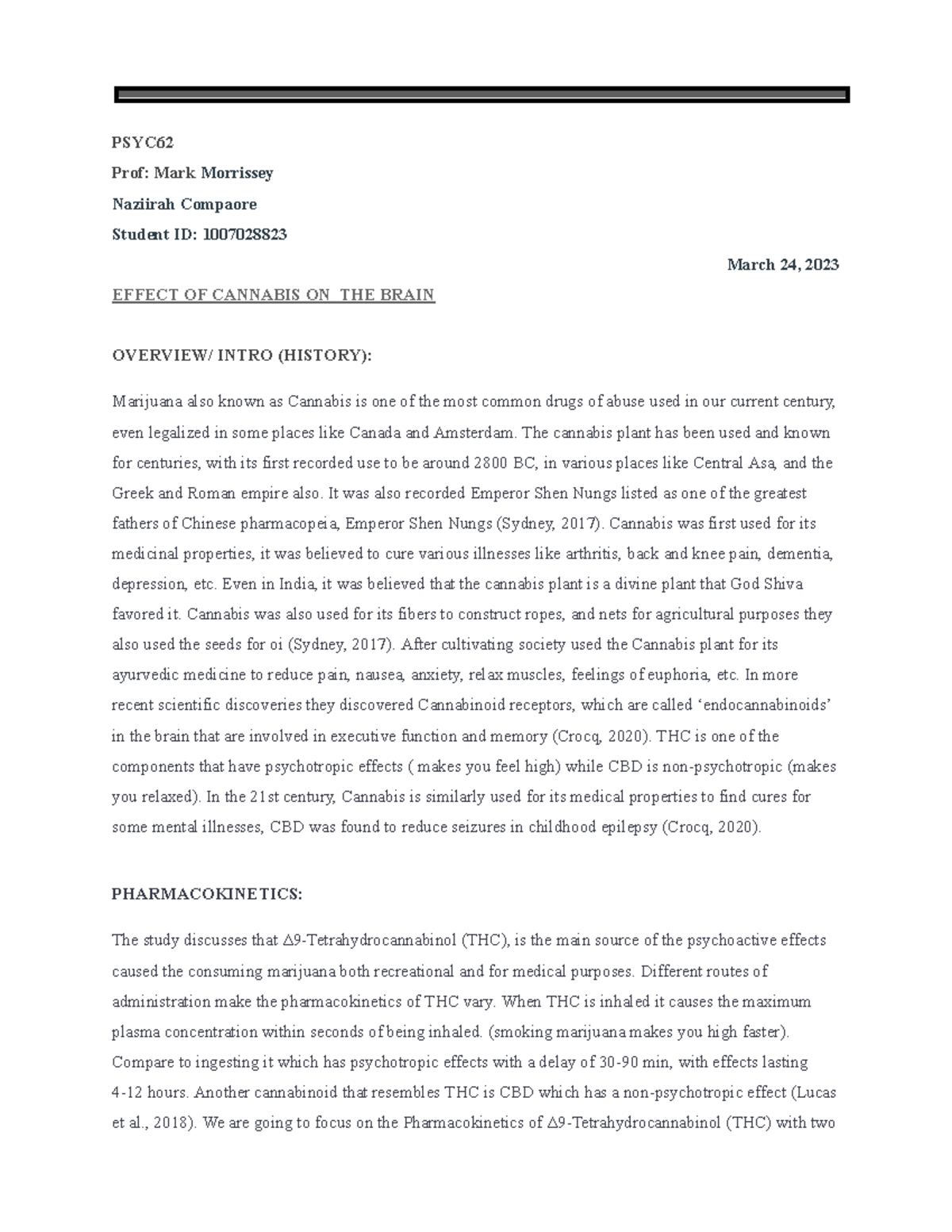 DRUG Paper Cannabis - PSYC Prof: Mark Morrissey Naziirah Compaore ...