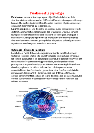 Cours anatomie physiologie des tissus 2017 - ANATOMIE PHYSIOLOGIE ...