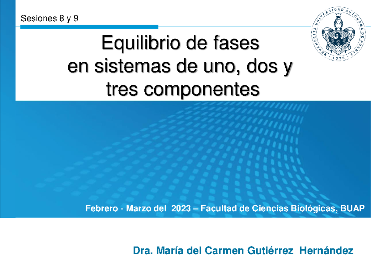 Sesion 8-9 - Equilibrio de fases en sistemas de uno, dos y tres ...