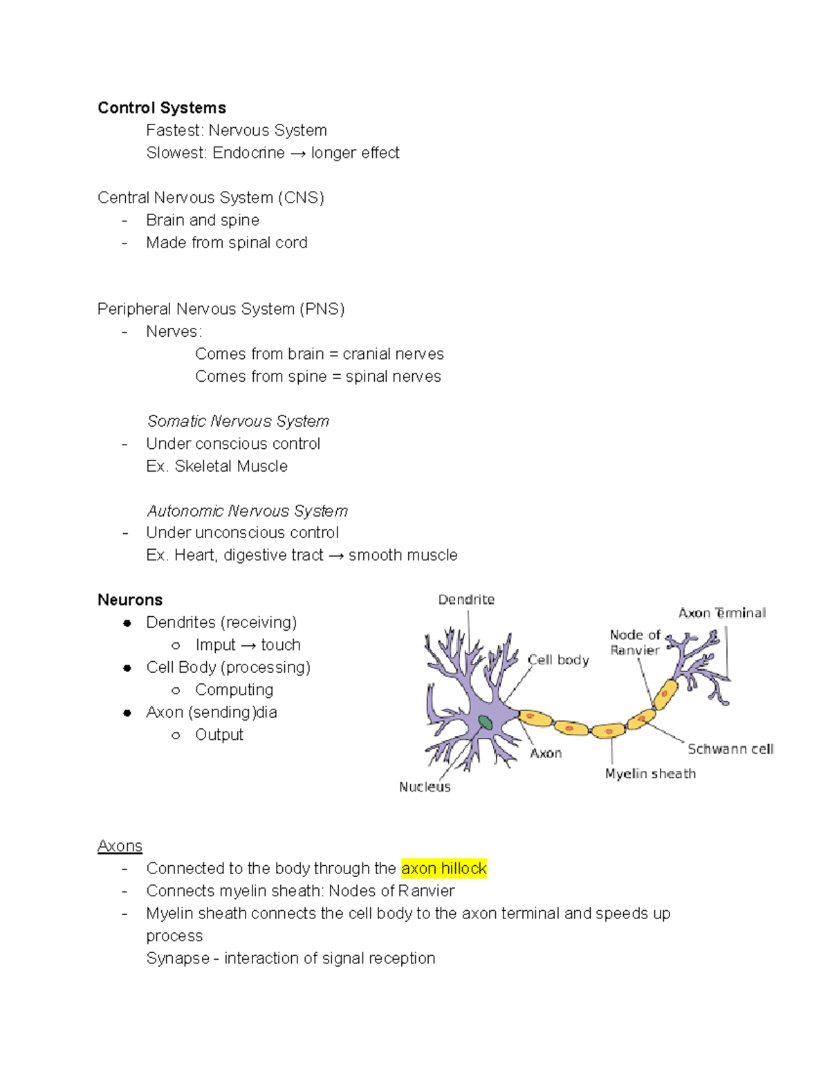 Physio Notes - Control Systems Fastest: Nervous System Slowest ...