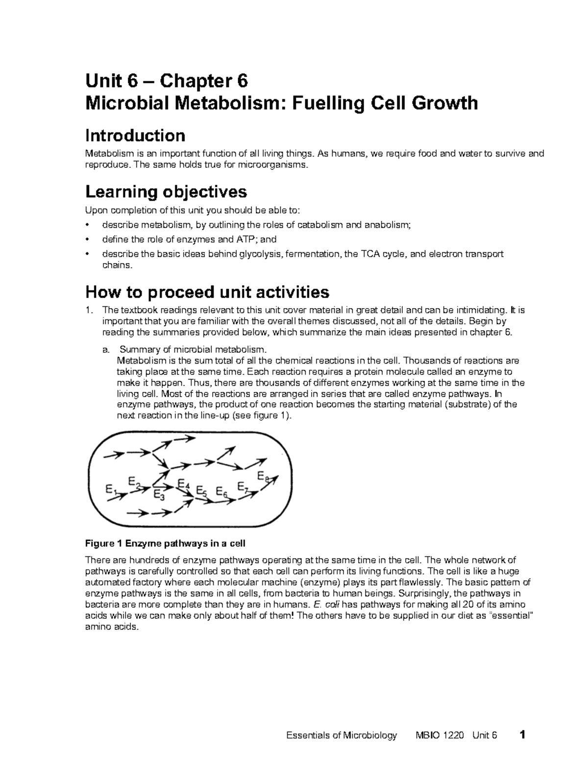Unit6 10th ed - UNIT 6 SUMMARY - Ess entials of Microbiology MBIO 1220 ...