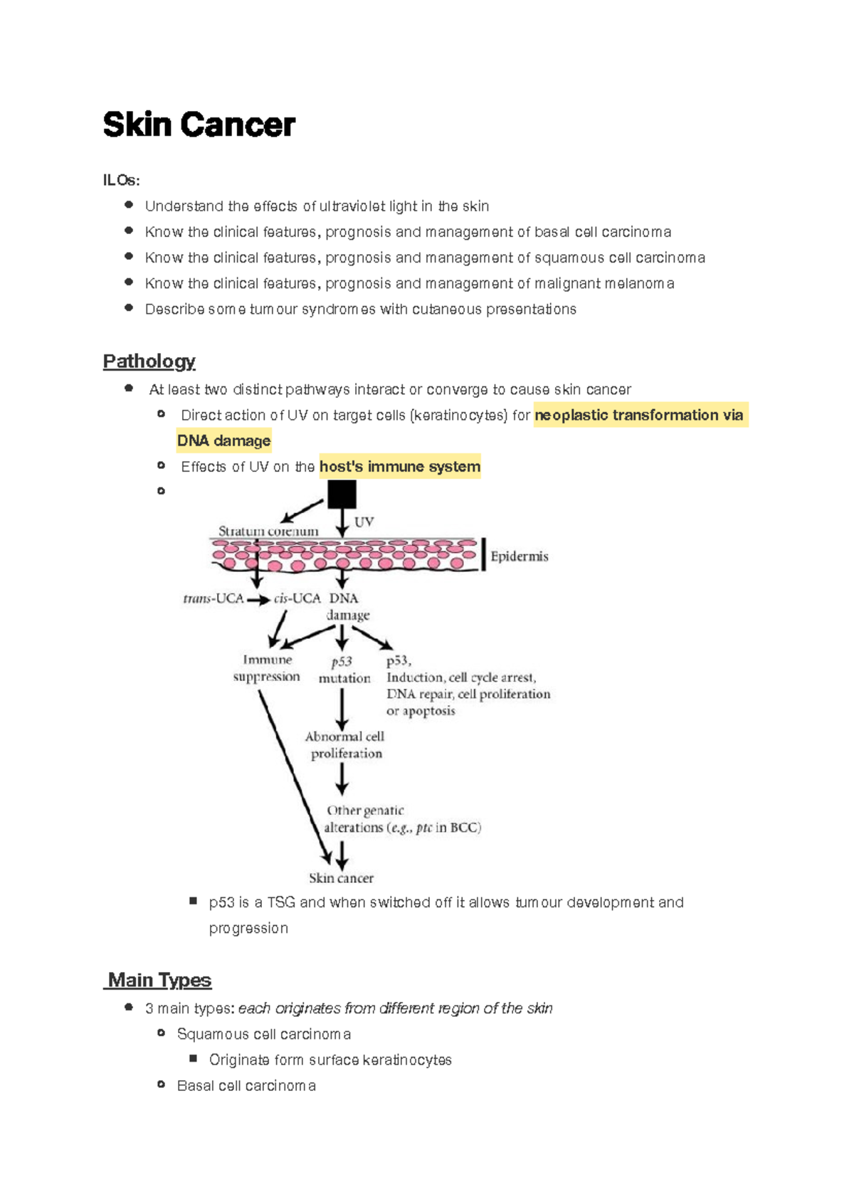 Skin Cancer - S k i n C a n c e r ILOs: Pathology Main Types Understand ...