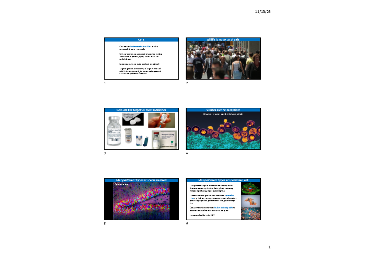 Introduction to cells 2 - Cells Cells are the fundamental unit of life ...