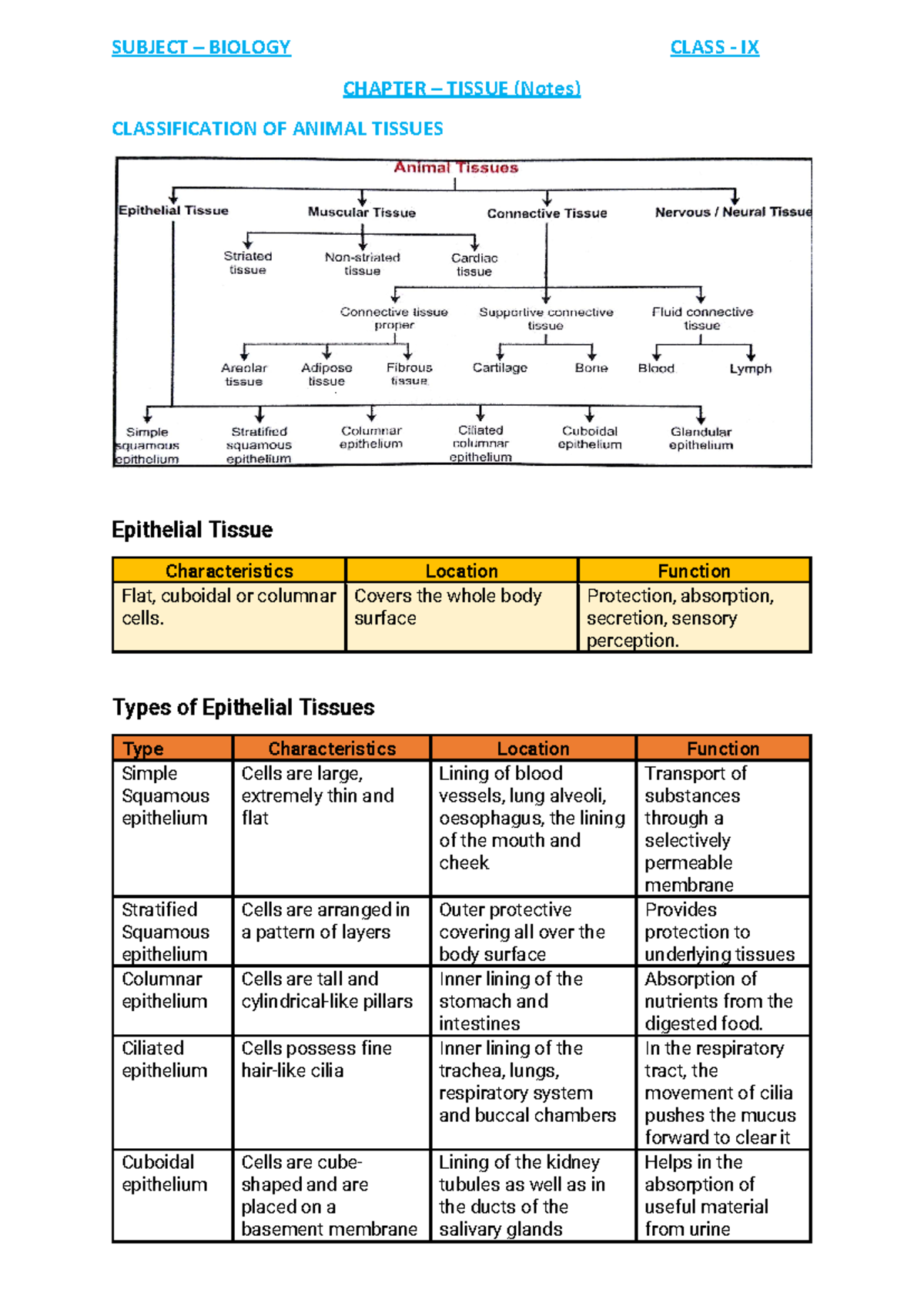 Types of animal tissue - SUBJECT – BIOLOGY CLASS - IX CHAPTER – TISSUE ...