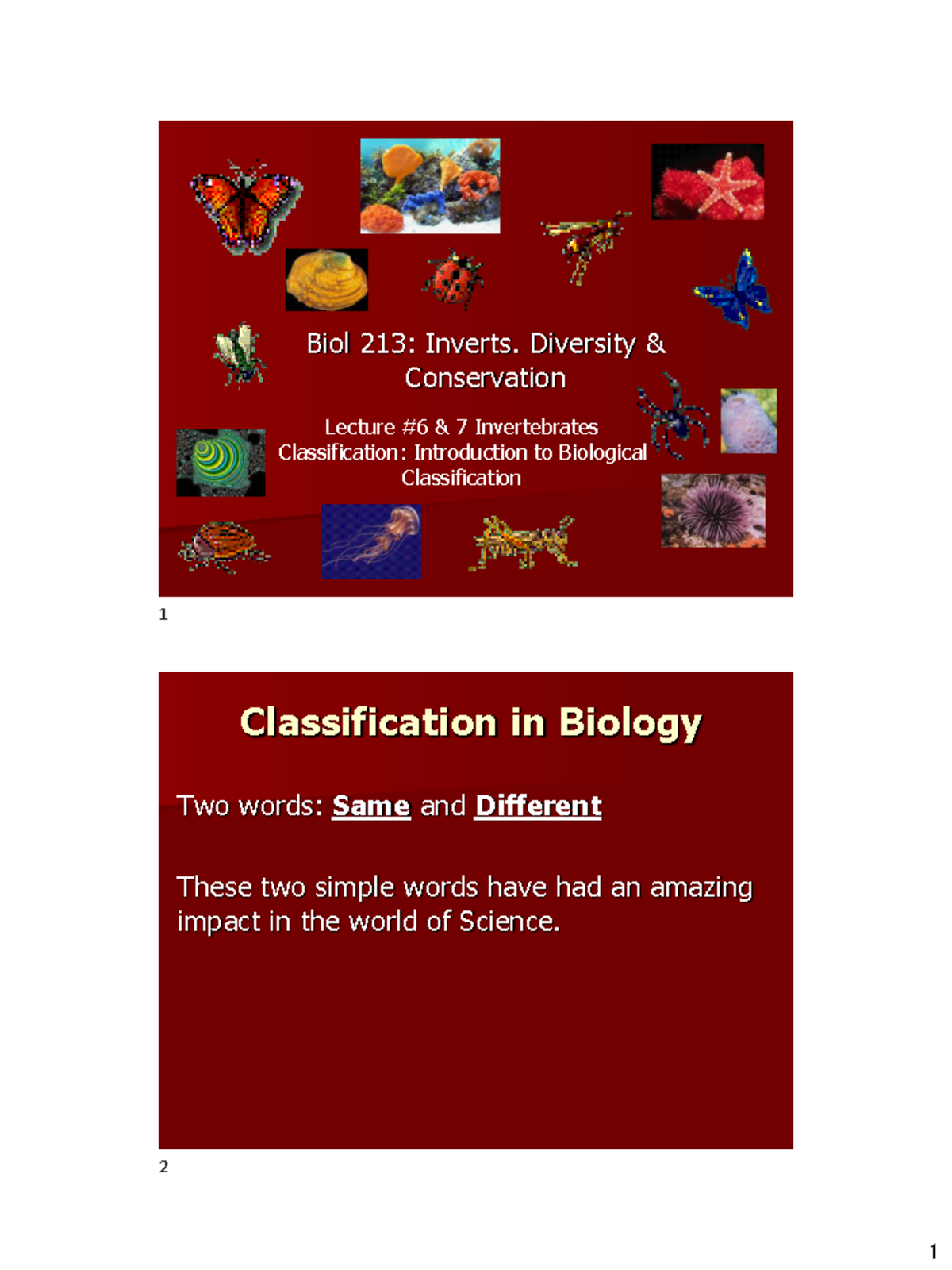 L#67 Invertebrate Classification CM Final - Biol 213: Inverts ...