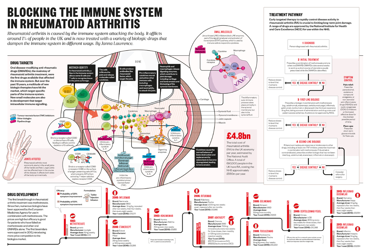 Blocking the immune system in rheumatoid arthritis infographic ...
