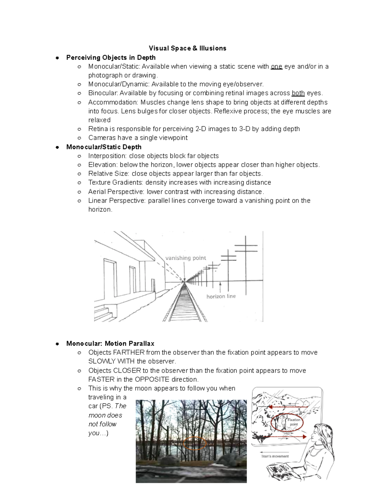 Perception Module 6 - Visual Space & Illusions - Visual Space ...