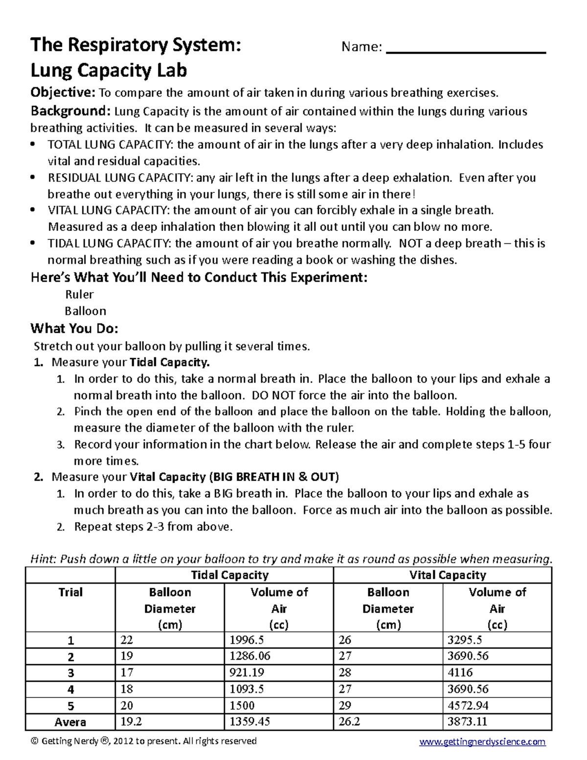 Respiratory system - Y nado entre lagunas de mi mente - The Respiratory ...