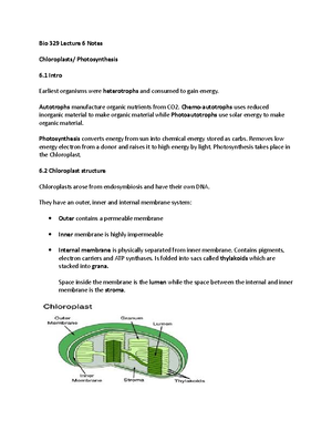 D17 ER and nucleus study guide - BIOL329 Dr. Abolins-Abols ER and nucleus (3/22/22) Vocabulary ...