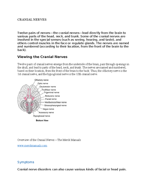 Cranial nerves simplified - NURS 2222 - Here is a YouTube Video to help ...