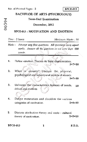 NEO PI-3 Interp Rpt Sample Report - NEO ™ Personality Inventory ...