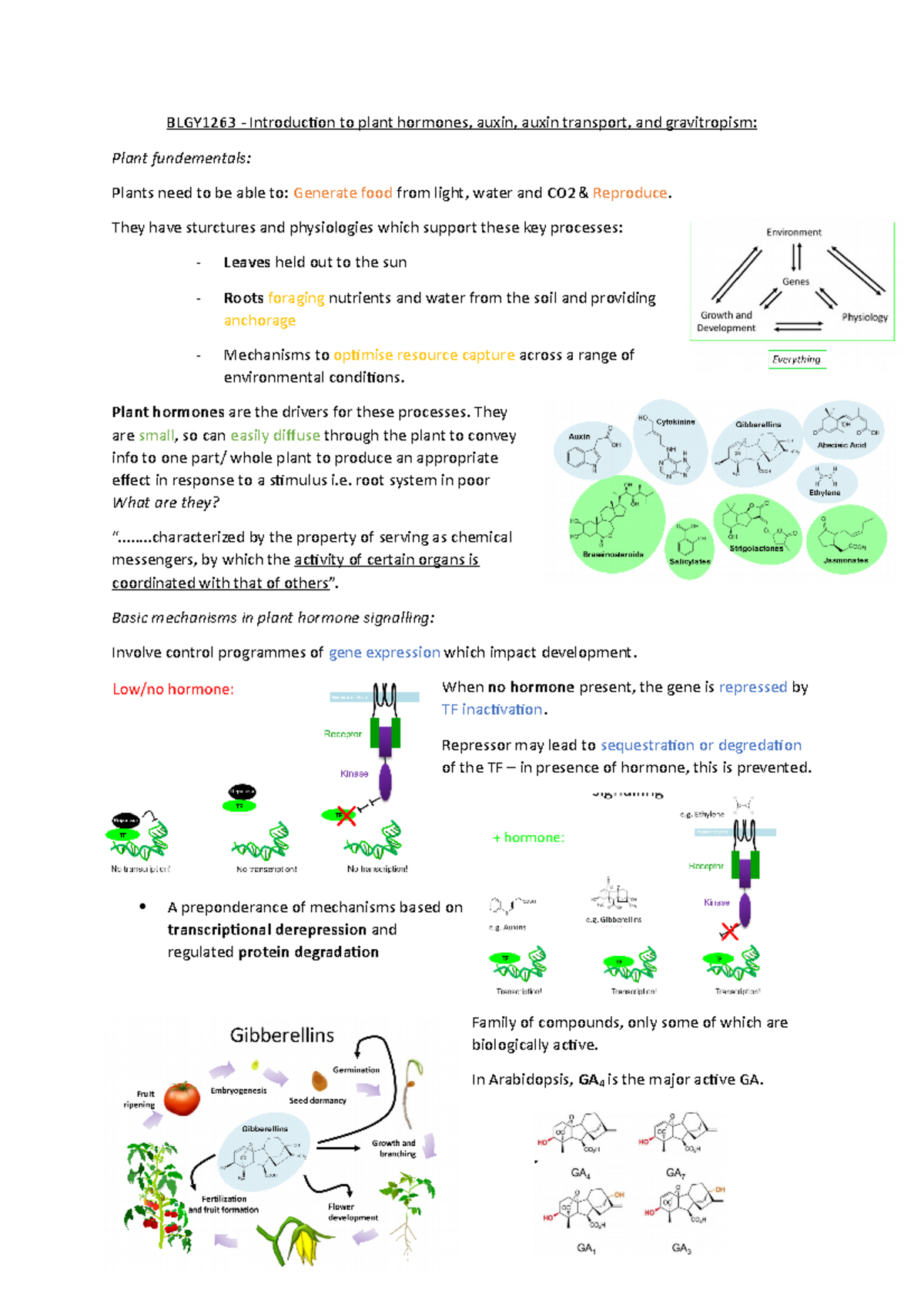 1. Intro to Plant Hormones - BLGY1263 - Introduction to plant hormones ...