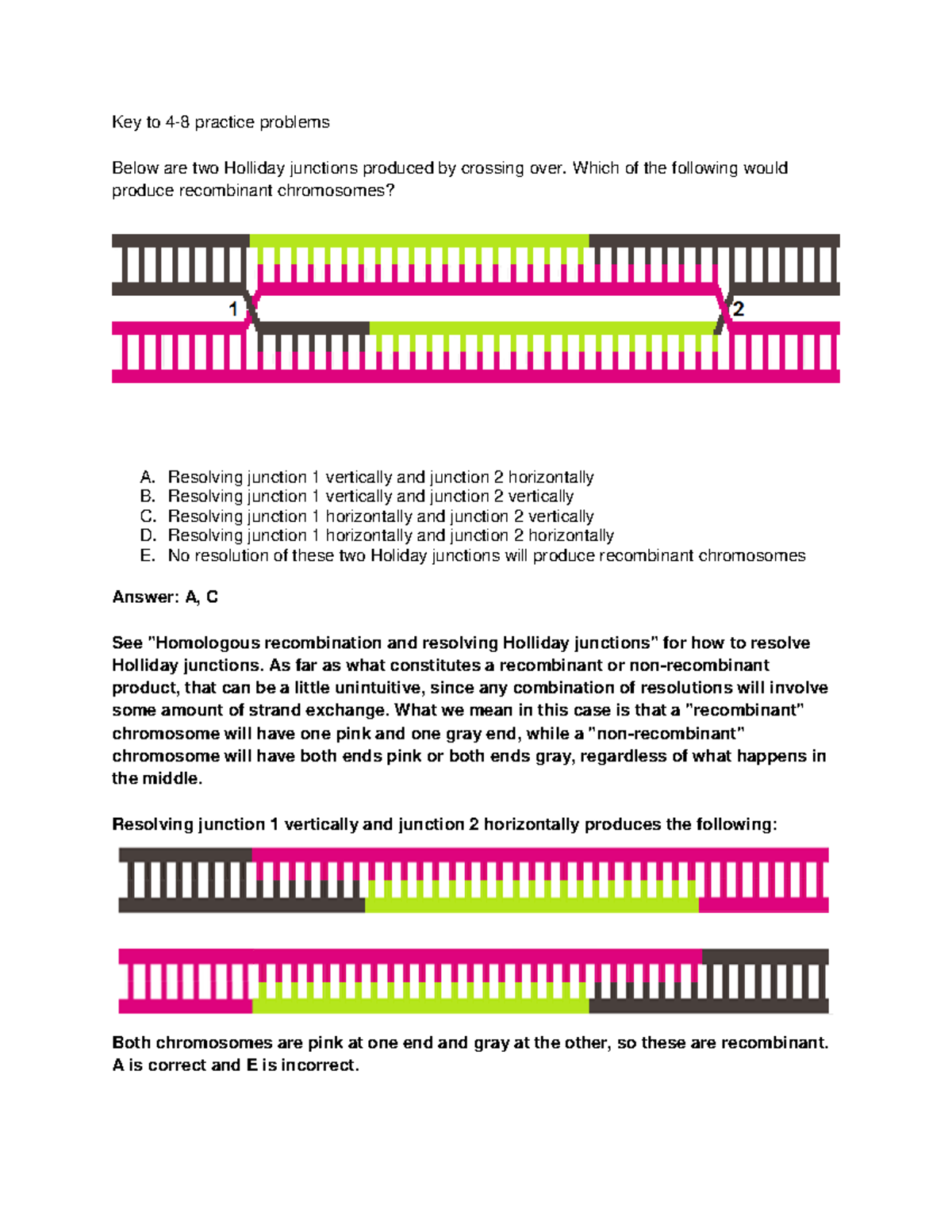 Key to 4-8 practice problems - Which of the following would produce ...