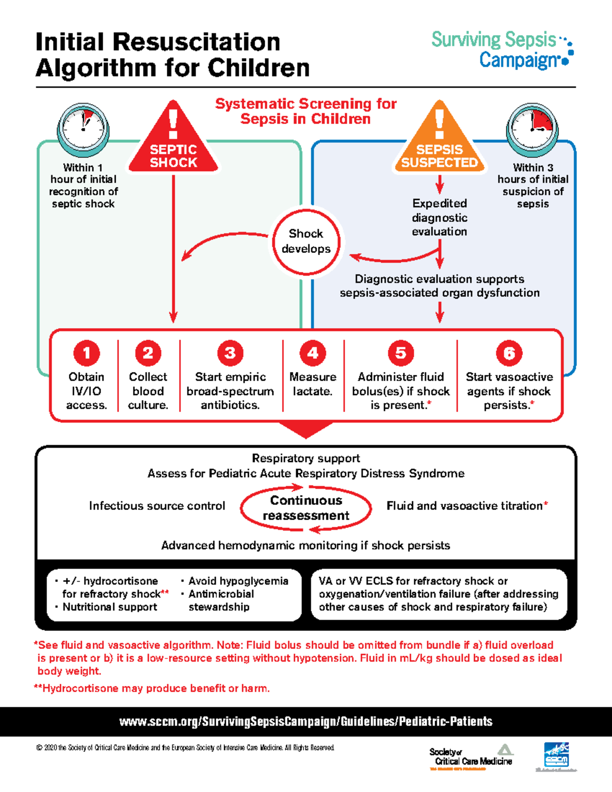 Initial Resuscitation Algorithm for Children - Respiratory support ...