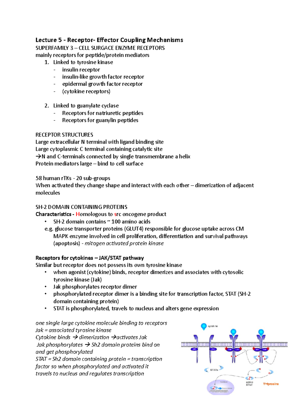 Lecture 5 - Receptor- Effector Coupling Mechanisms - Lecture 5 ...