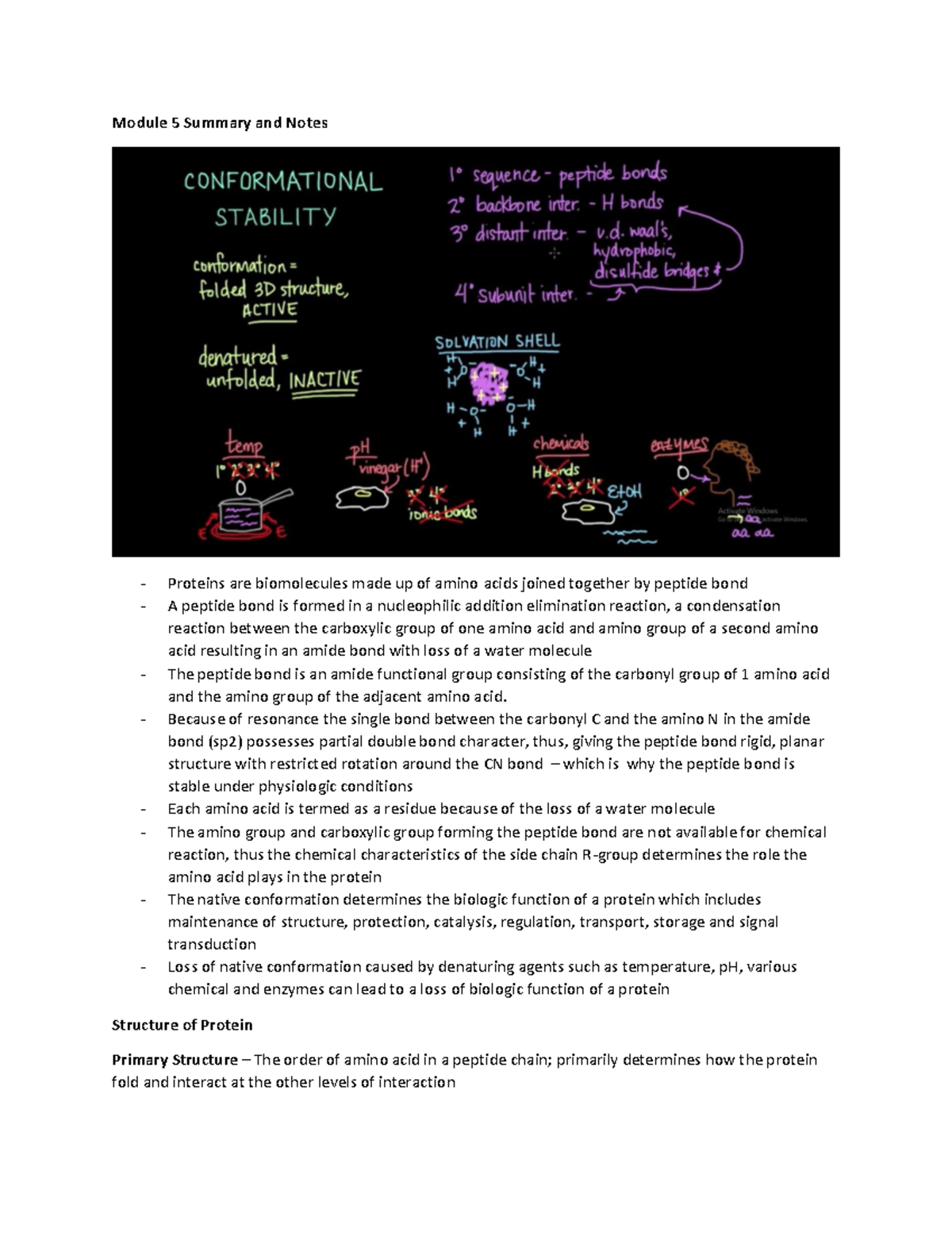 Module 5 Summary and Notes - Module 5 Summary and Notes Proteins are ...