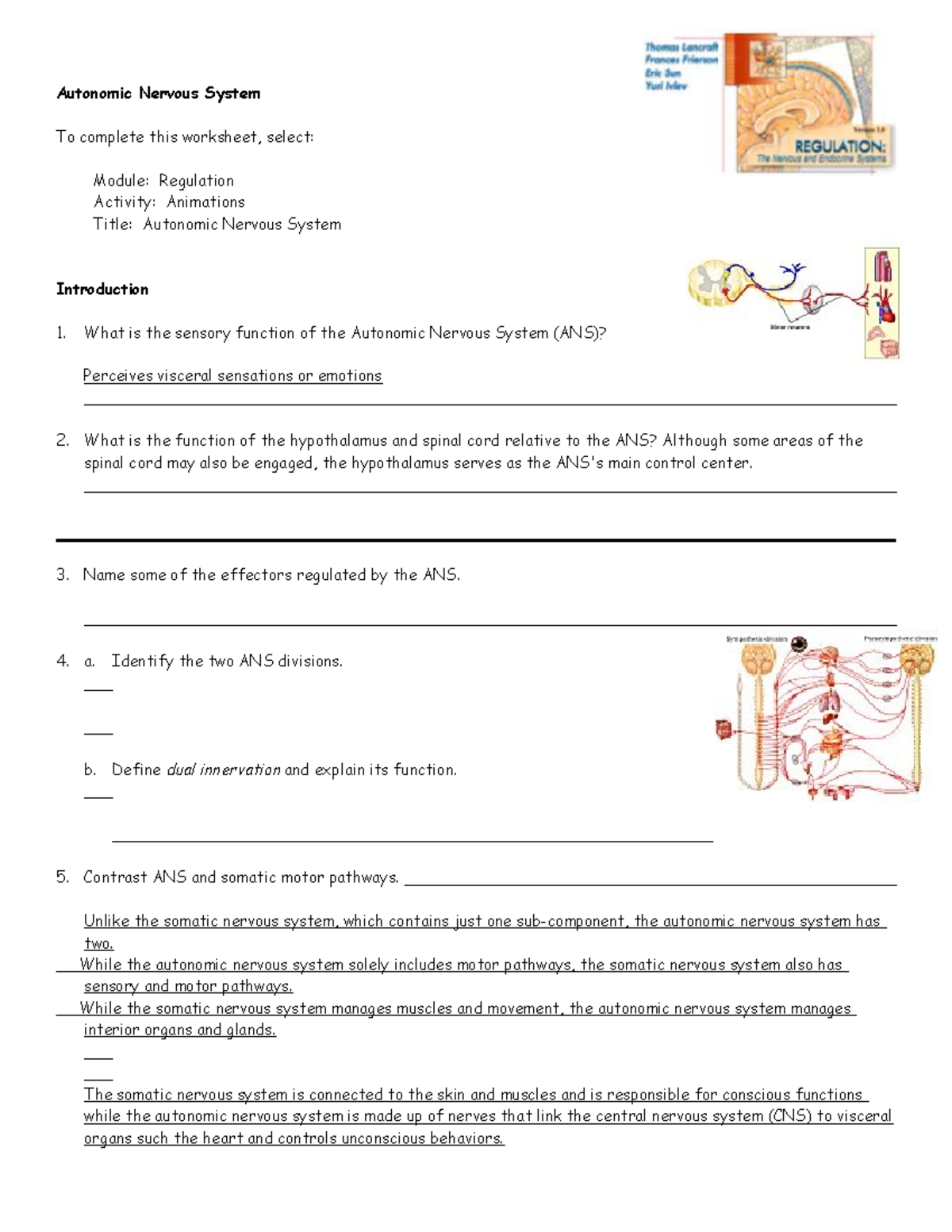Reg ans - Autonomic Nervous System To complete this worksheet, select ...