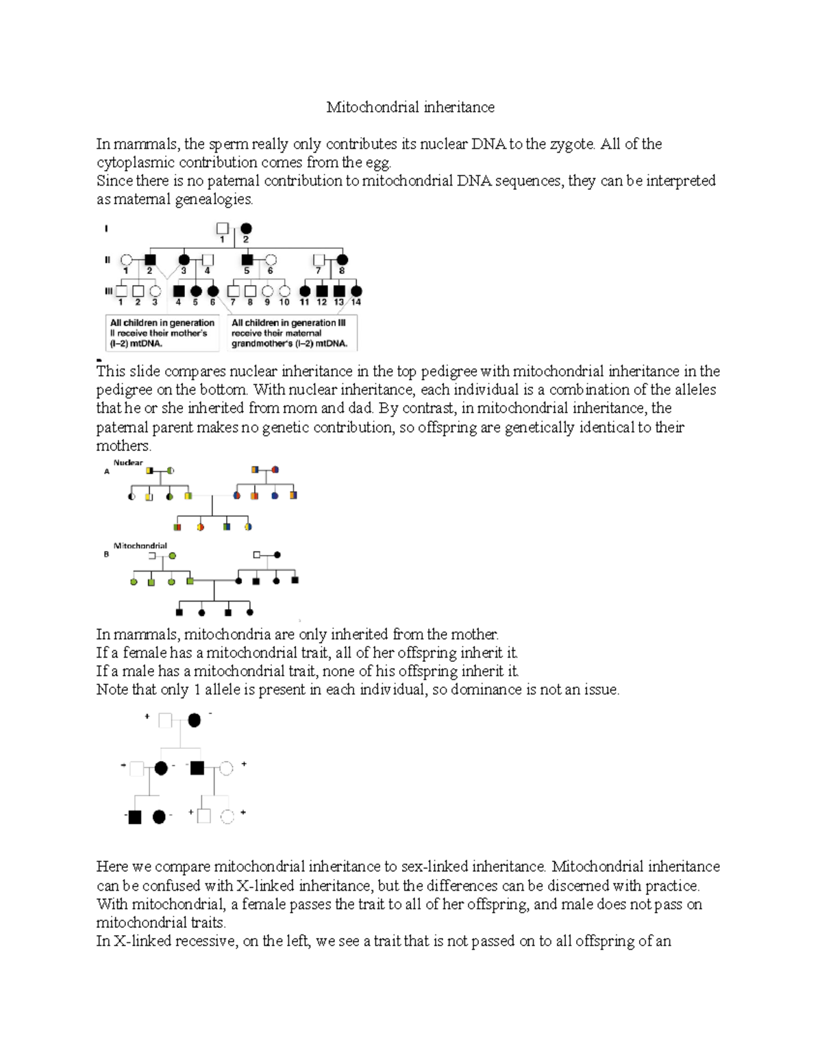 Mitochondrial inheritance - All of the cytoplasmic contribution comes ...