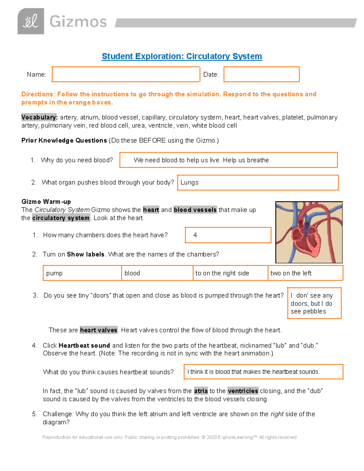 Copy of Circulatory System SE-Gizmo for Science - Student Exploration ...