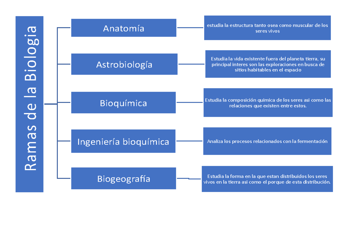 Tarea 1 (ramas de la biologia) DE Biologia - Ramas de la Biologia ...