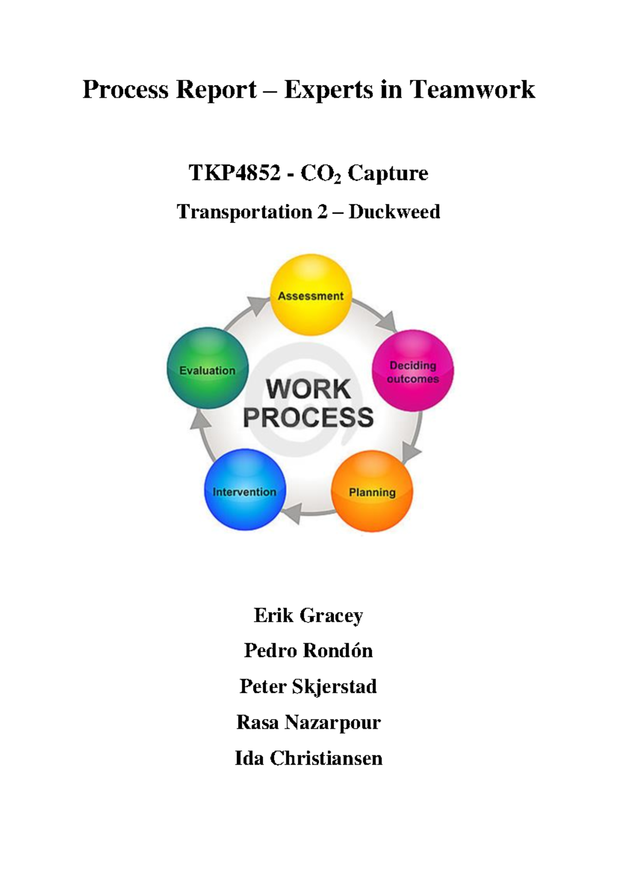 Process Report - The project was conducted during Experts in Teamwork ...