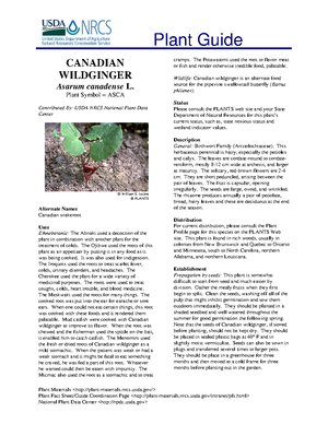 Teachers Notes Indigenous Plants Connections - Education Program ...