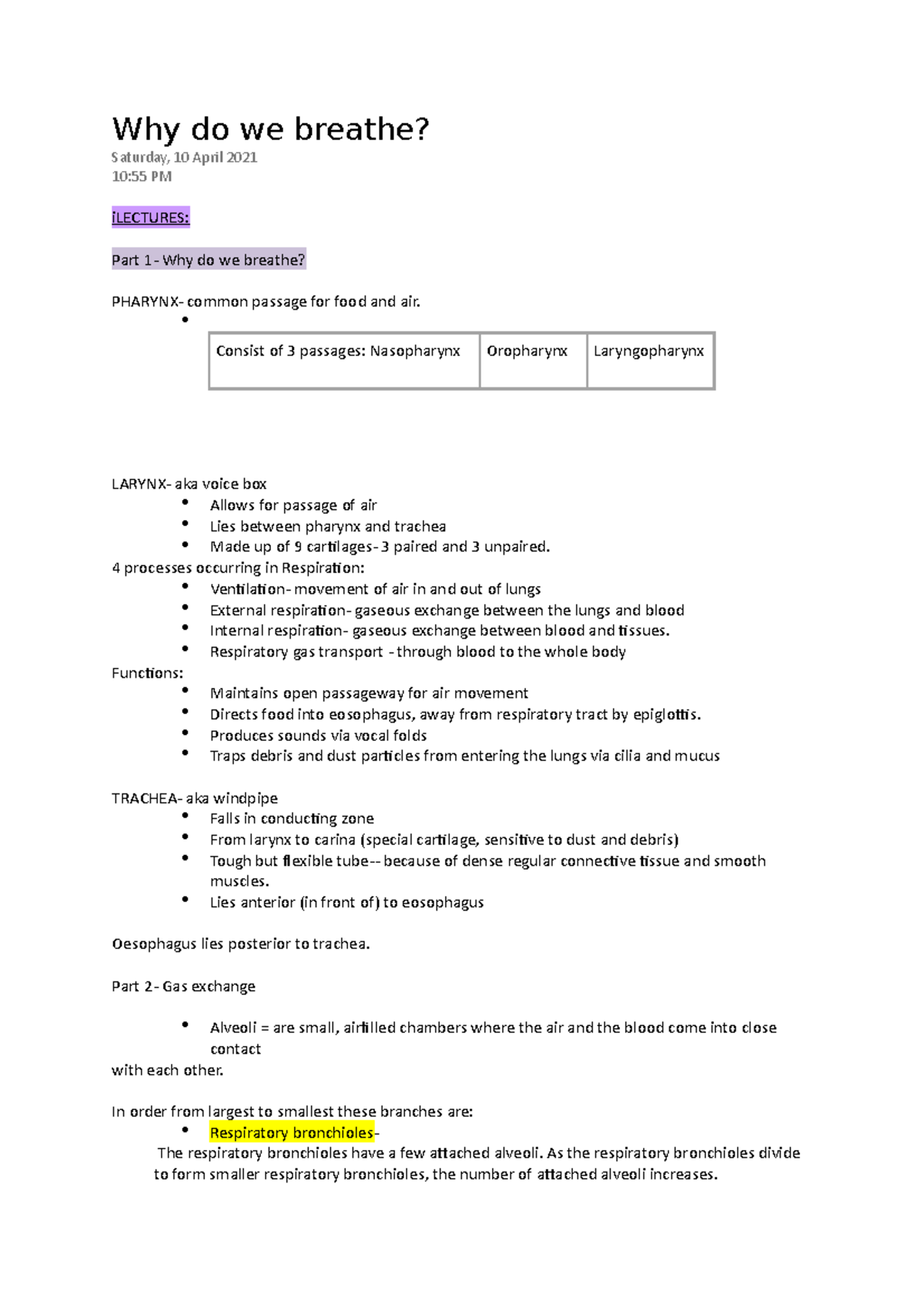 Compendium 4 - Why do we breathe? Respiratory system - Why do we ...