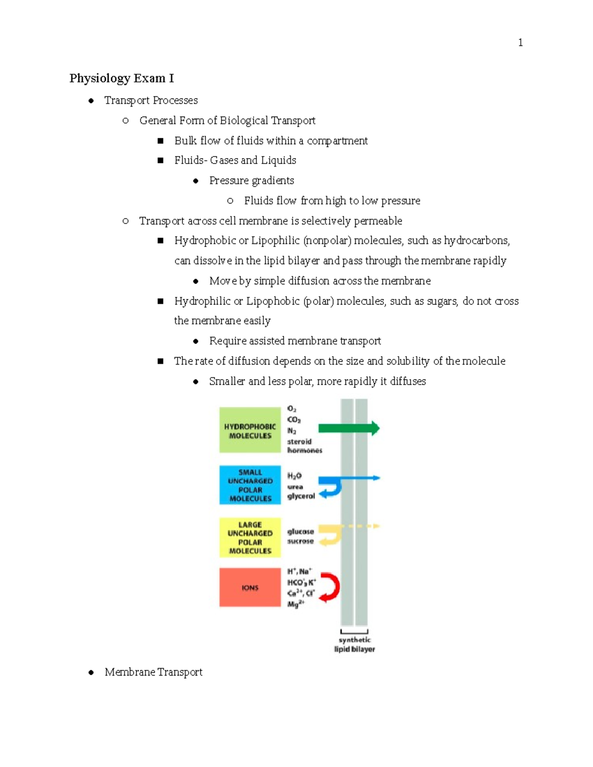 Physiology Exam 1 - Lecture notes 1-3 - Physiology Exam I Transport ...