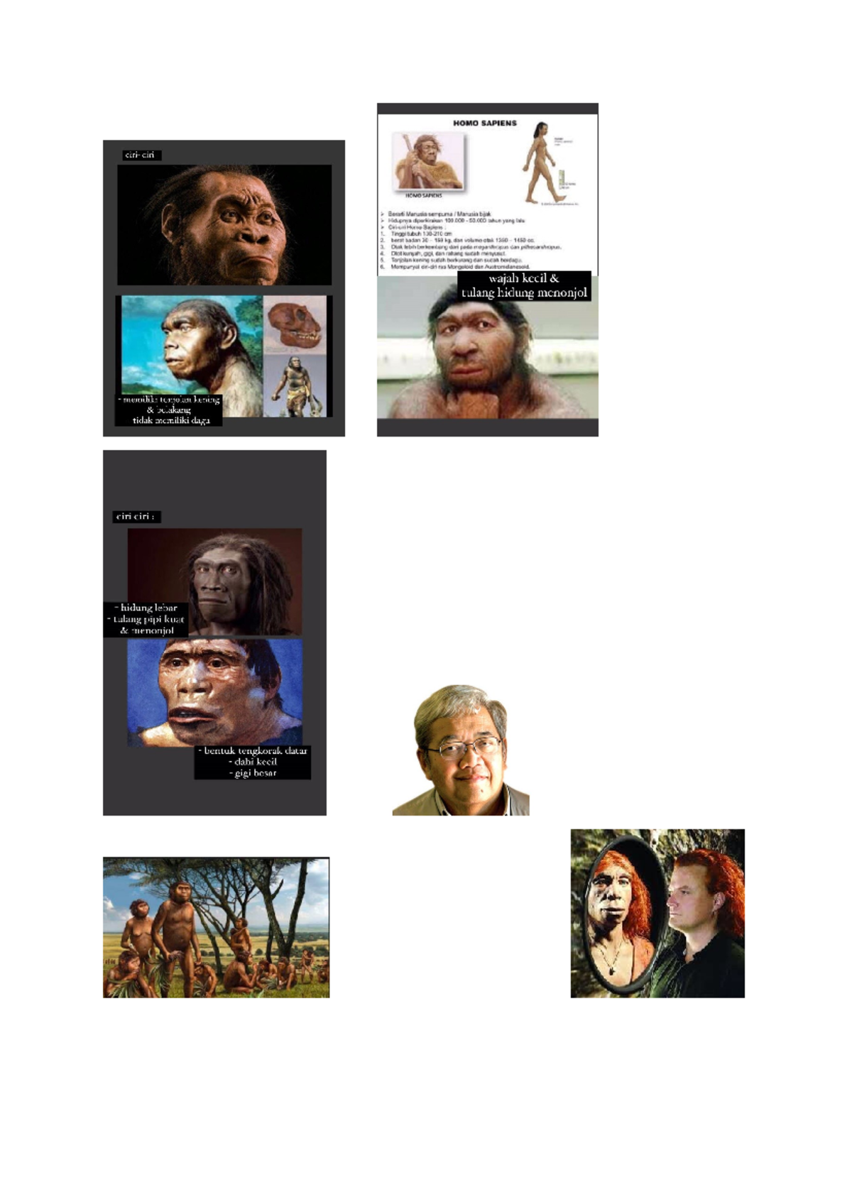 TATA Sejarah 2 - dasdad - HOMO SAPIENS ciri HOMO SAPIENS in Berarti ...