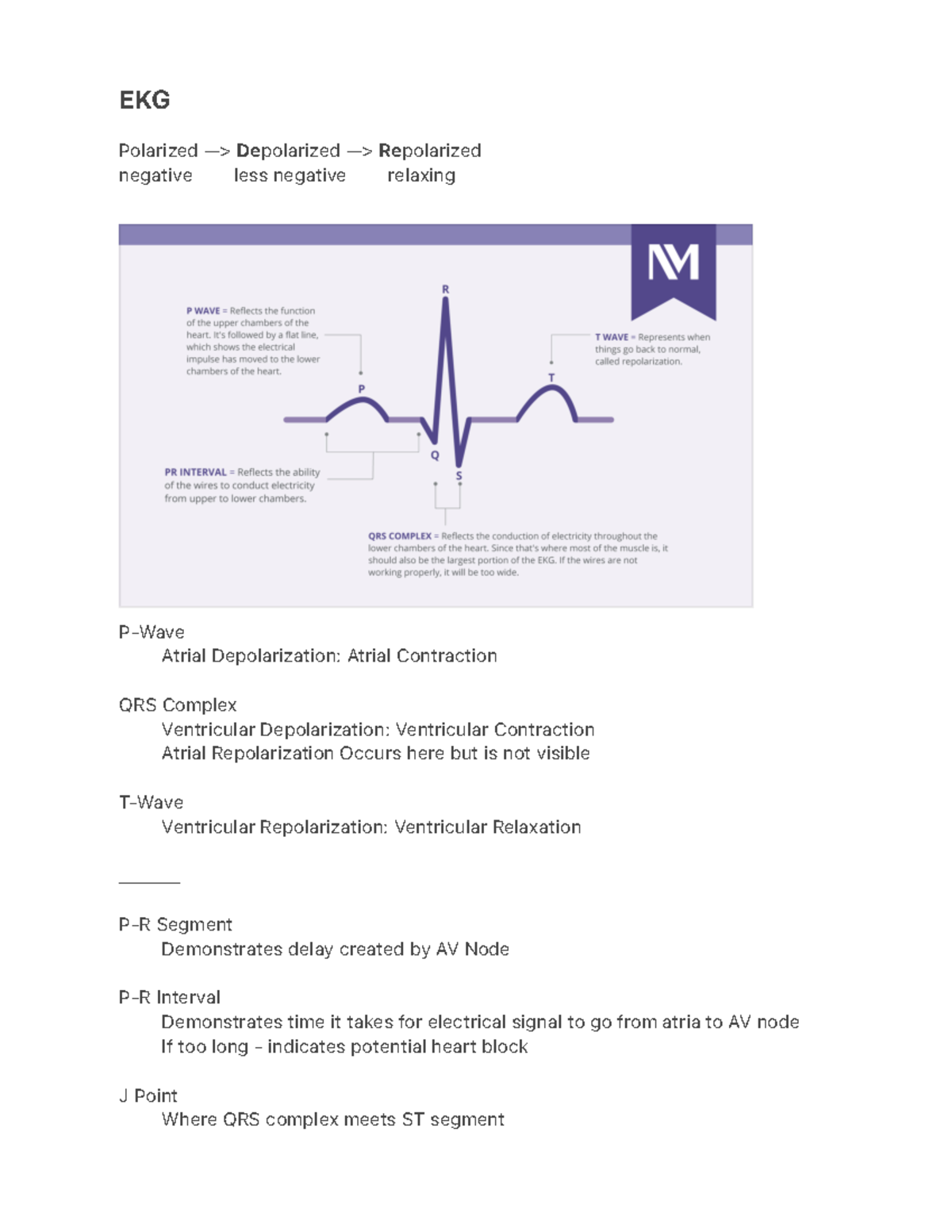 EKG Notes - EKG Polarized —> Depolarized —> Repolarized negative less ...